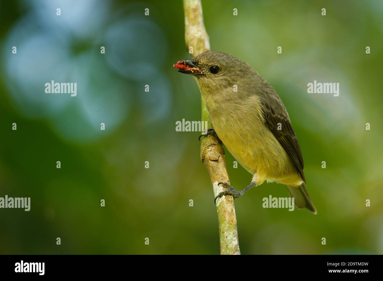 Plain colored hi-res stock photography and images - Alamy