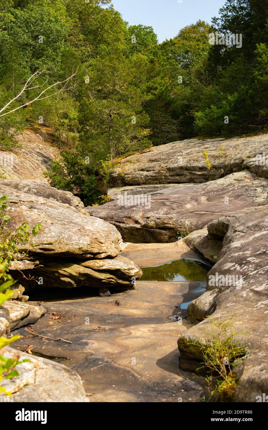 Landscape along the hiking trail at Bell Smith Springs in the Shawnee ...