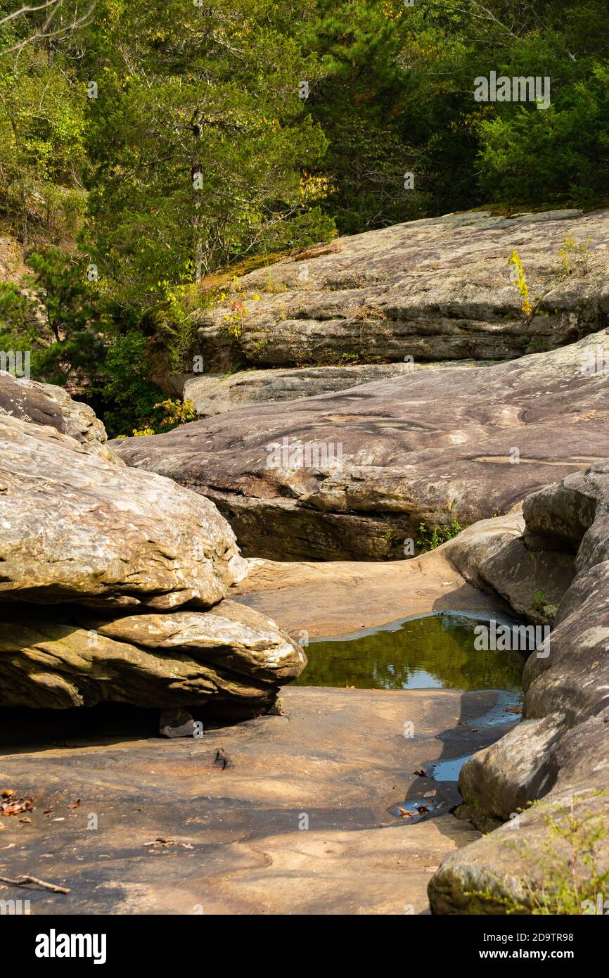 Landscape along the hiking trail at Bell Smith Springs in the Shawnee ...