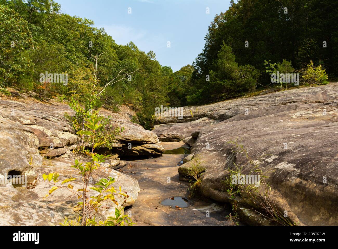 Landscape along the hiking trail at Bell Smith Springs in the Shawnee ...