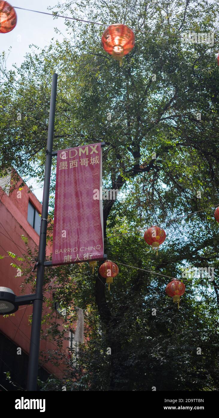 Chinatown Sign and Tree Surrounded by Chinese Lamps Stock Photo - Alamy