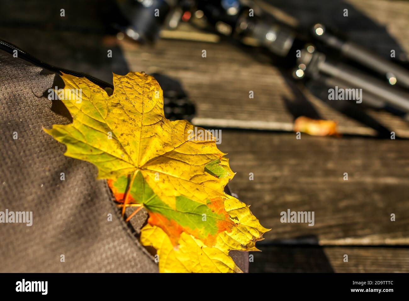 Sun behind camera hi-res stock photography and images - Alamy