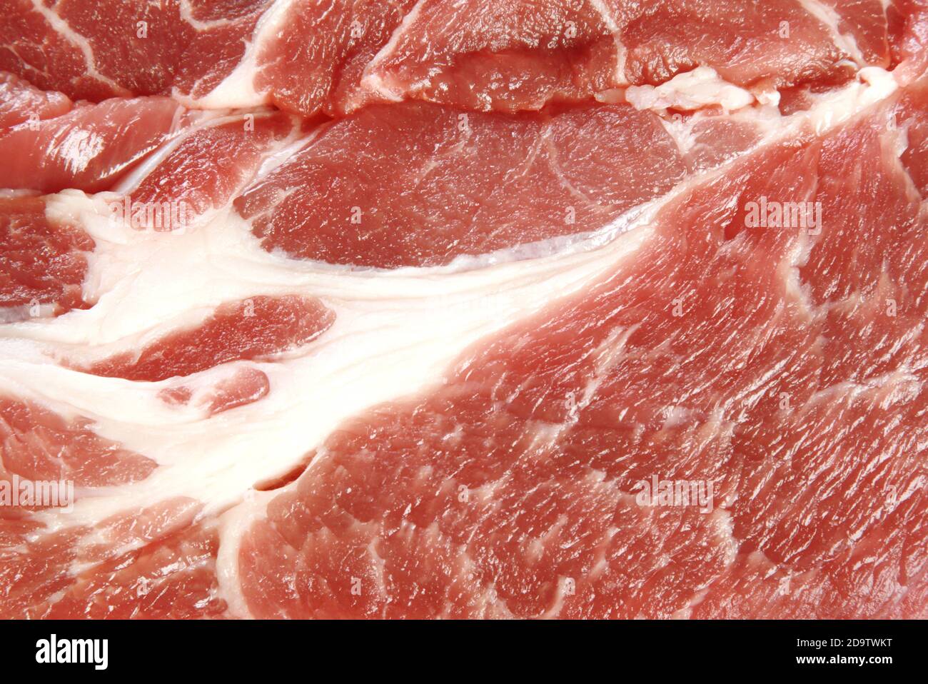 Closeup of a piece of juicy and fresh raw beef full of fat Stock Photo ...