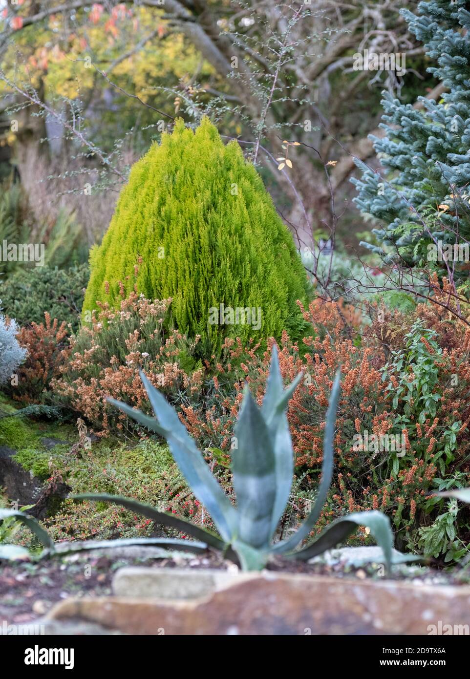 Turing of the leaves hi-res stock photography and images - Alamy