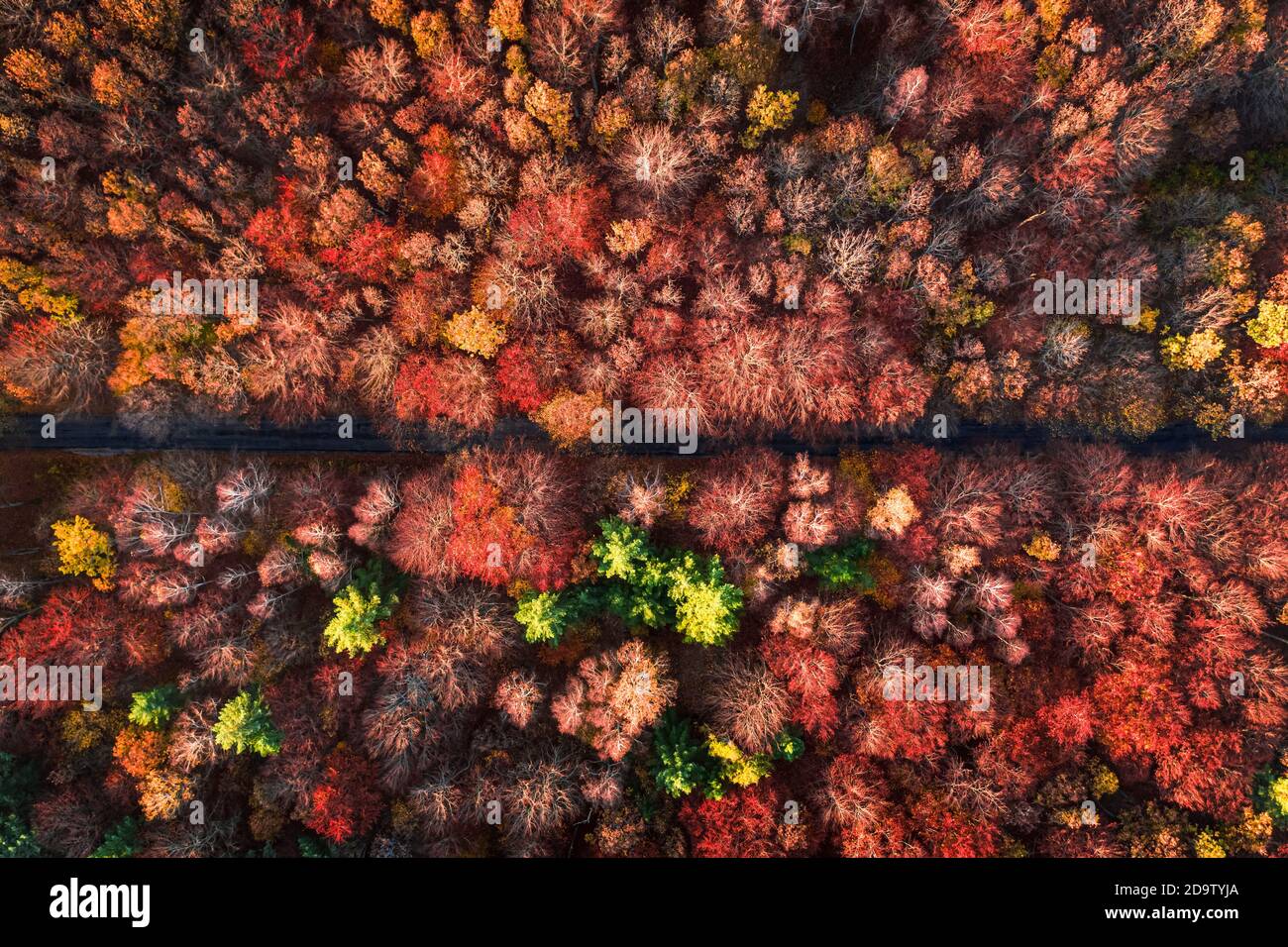 Stunning top down view hi-res stock photography and images - Alamy