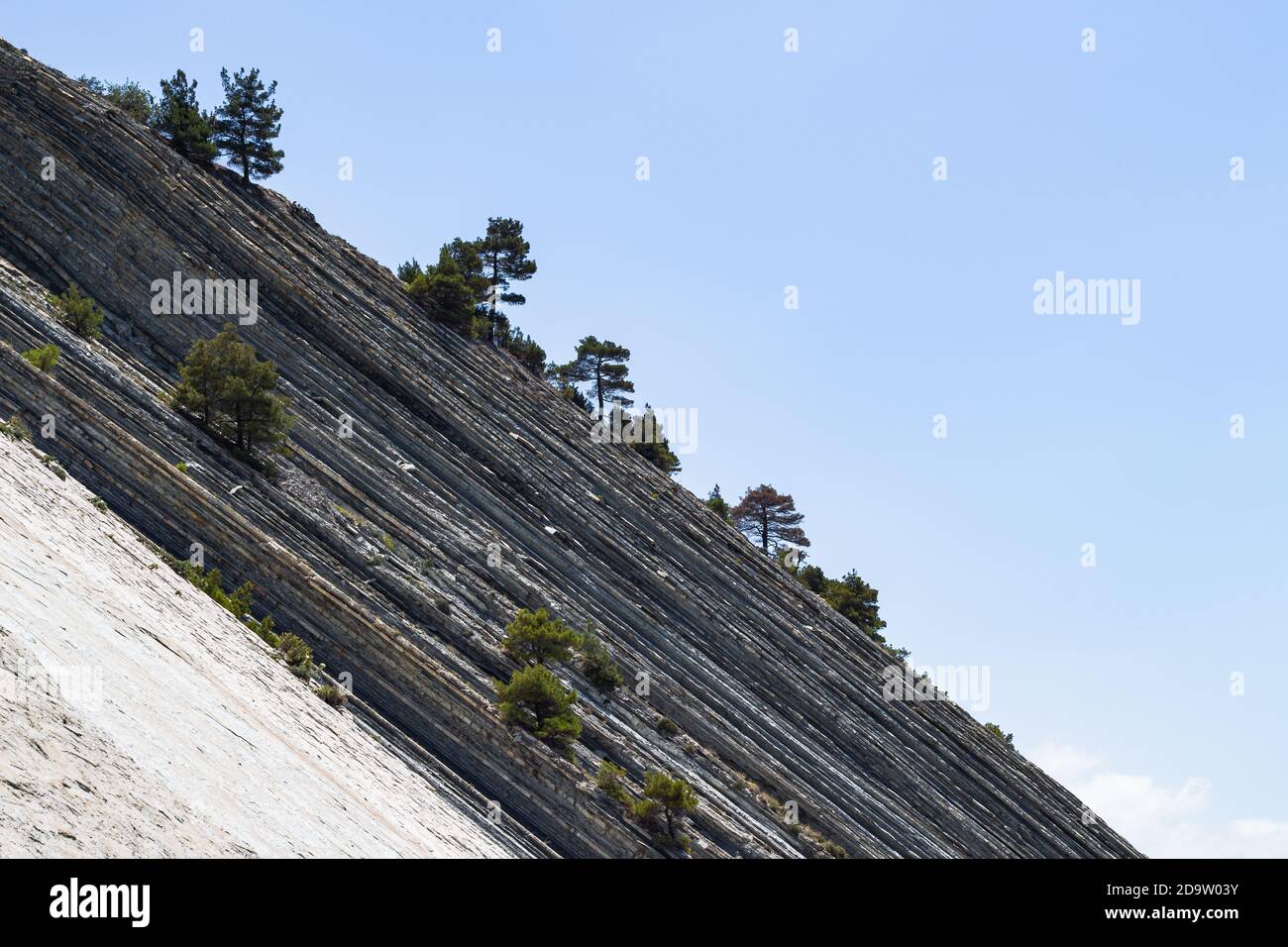Massive gray rocks with trees against a bright blue sky in a wild beach ...