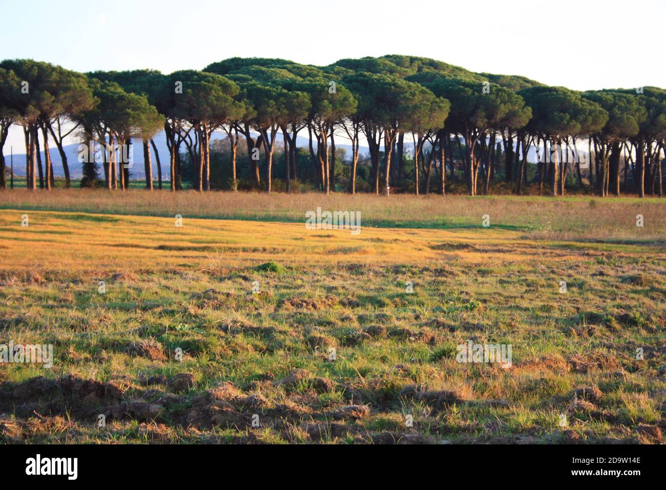romantic sunsets in the Tuscan countryside at dusk and fantastic colors ...