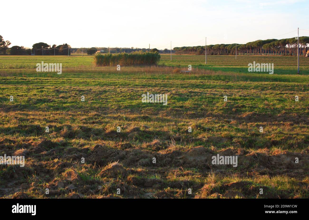 romantic sunsets in the Tuscan countryside at dusk and fantastic colors ...