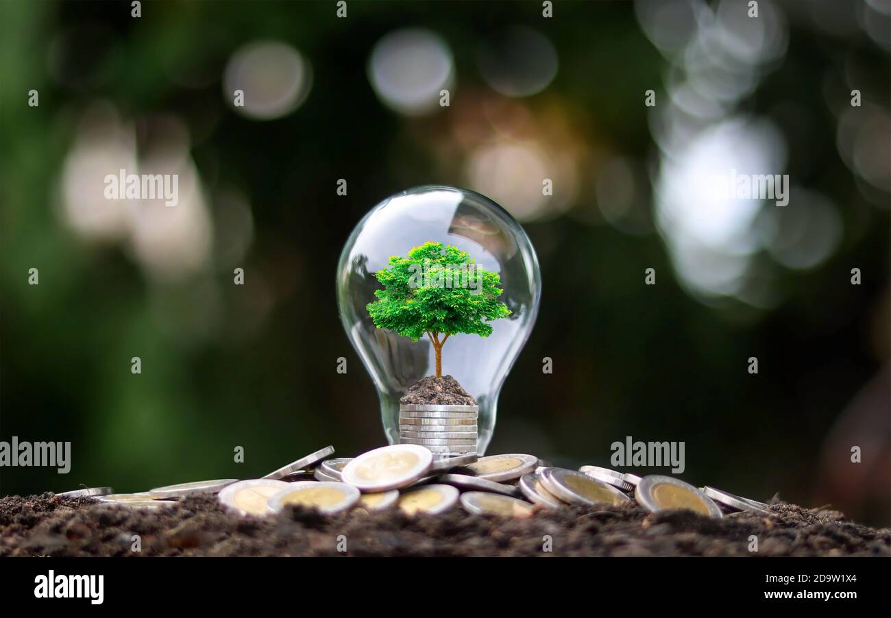 Grow green trees on money in soft light energy saving bulbs with the ...