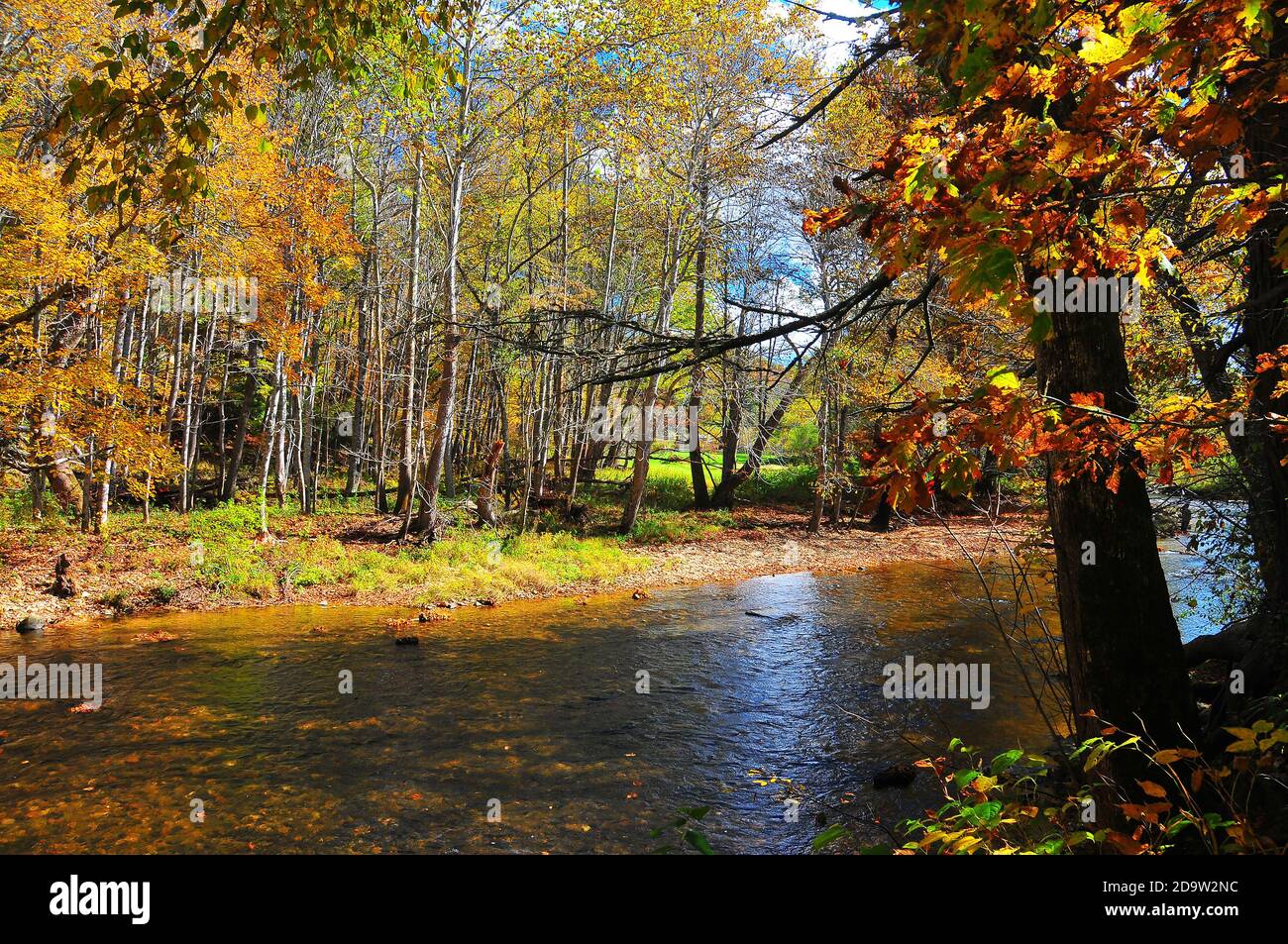 Lake watauga hi-res stock photography and images - Alamy