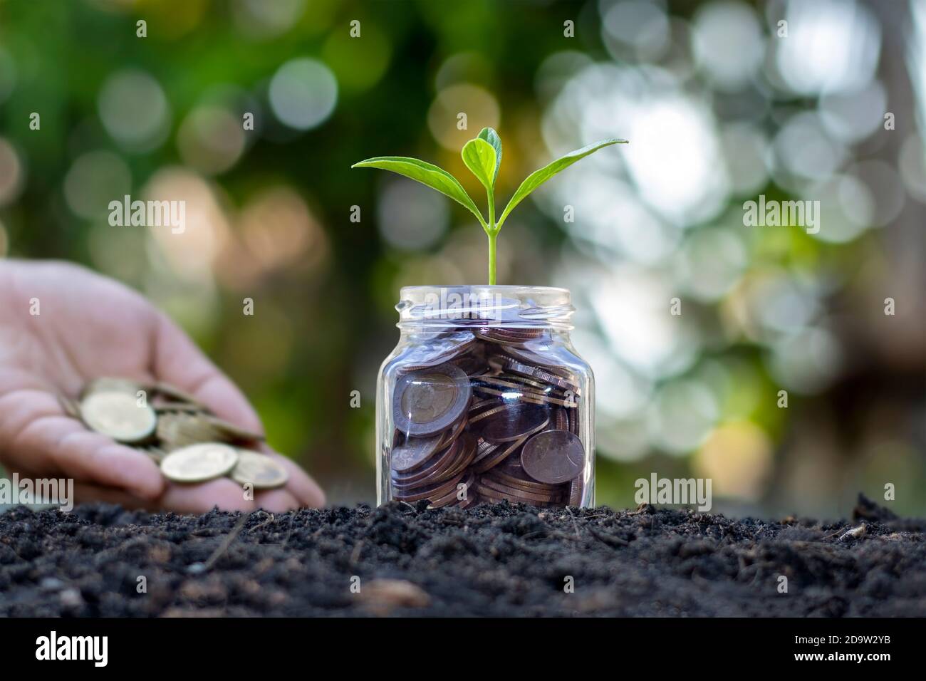 Growing tree on money saving bottle with blurred green nature ...