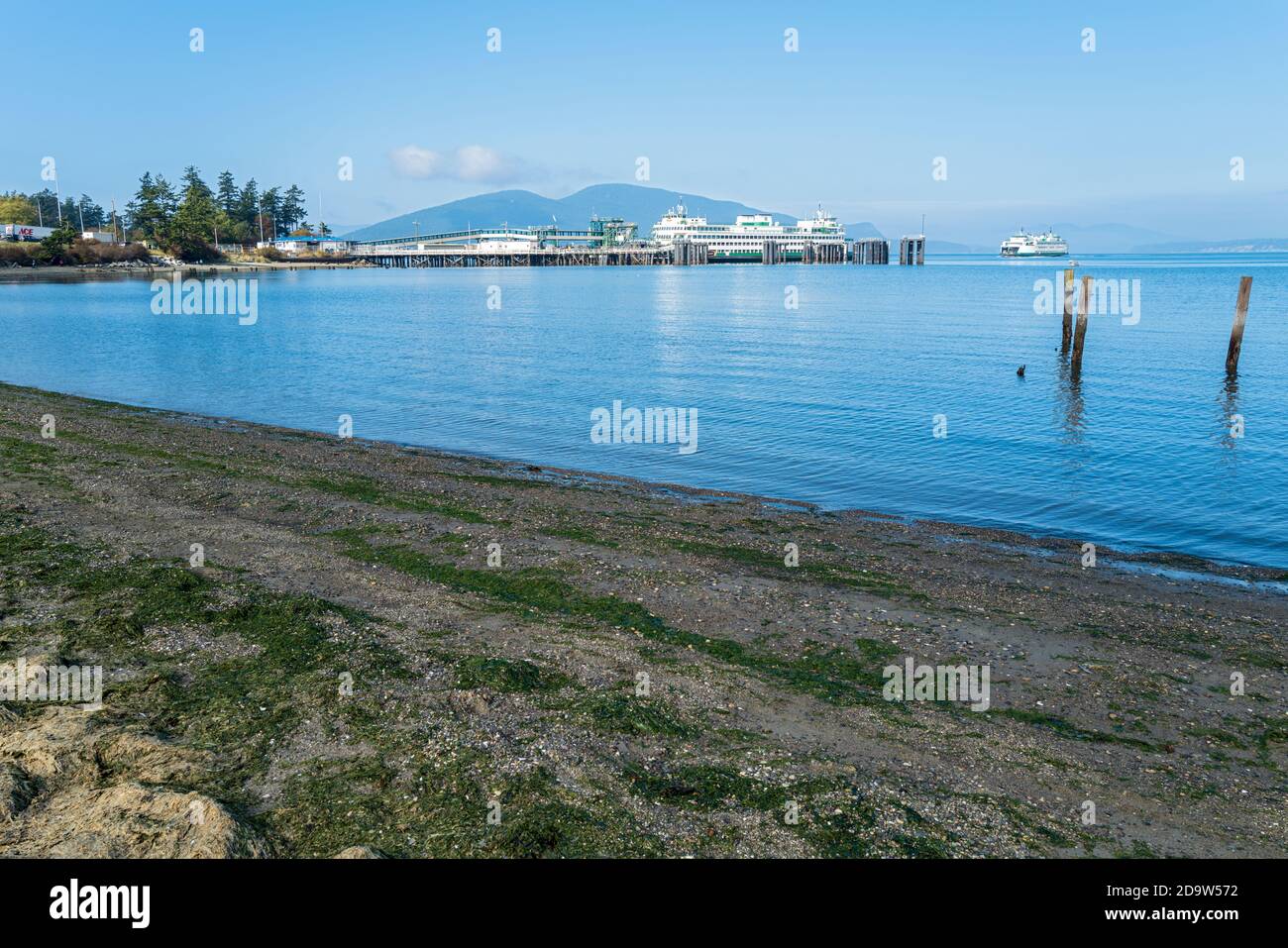 Anacortes, Washington, USA - October 5, 2020: Ferry traffic at the ...