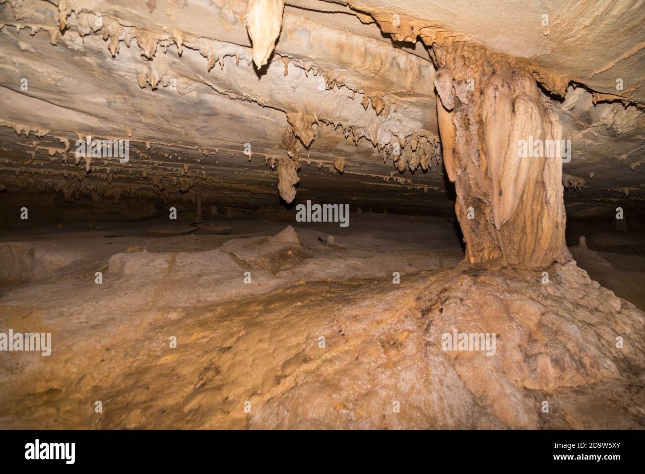 Limestone formation inside caves at Mulu National Park, Sarawak Stock ...