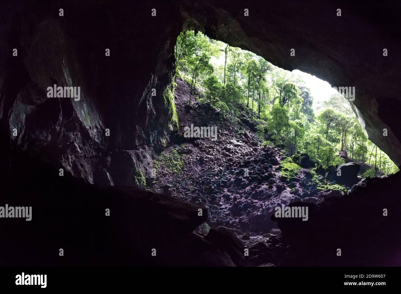 Chamber and entrance of Deer Cave, Mulu National Park, Sarawak Stock ...
