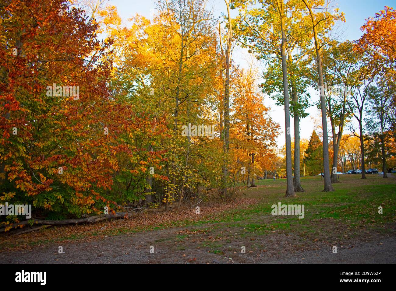 Autumn foliage displays of bright colors in Roosevelt Park, Edison, New ...