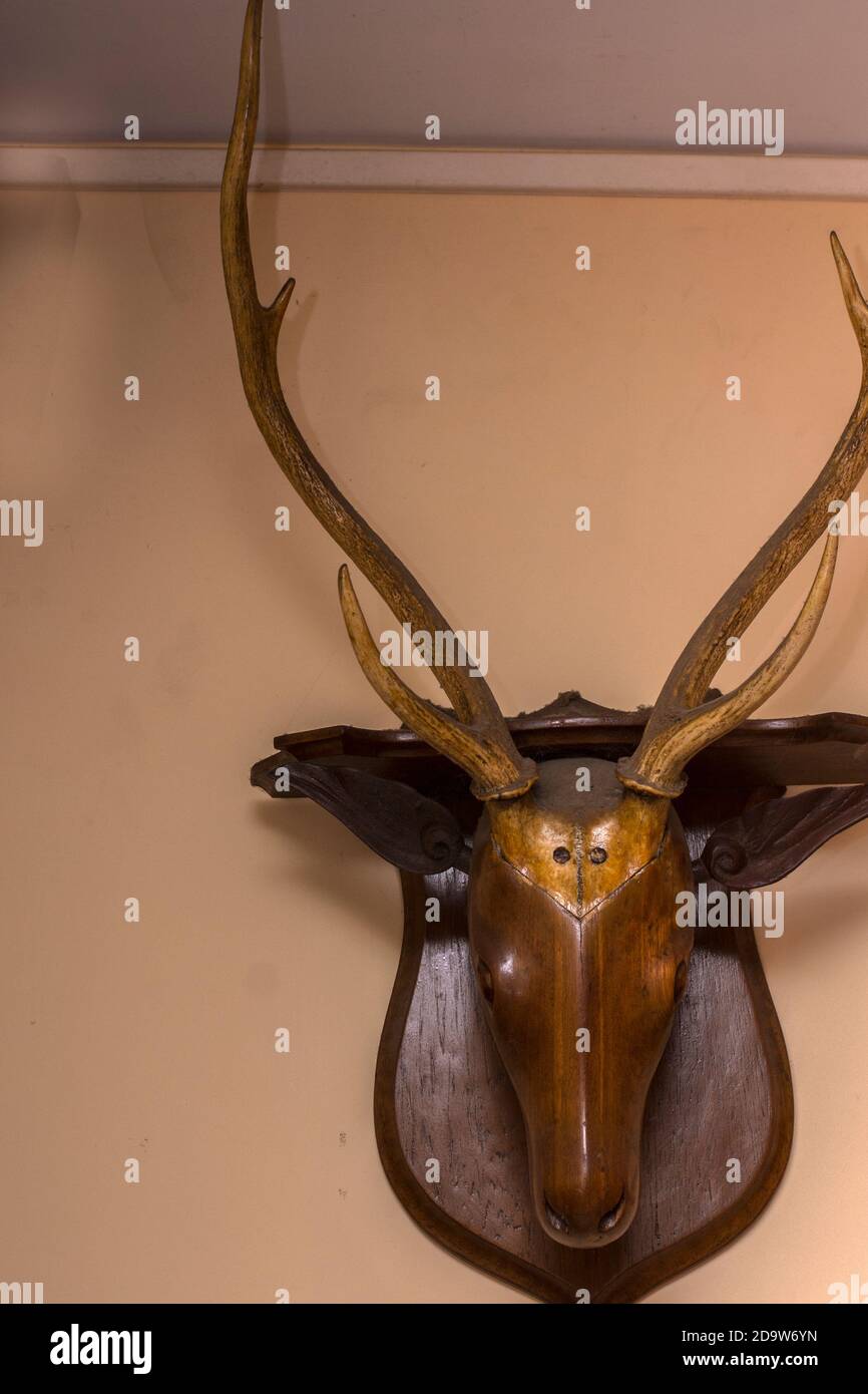 A wooden dear head hanging on a yellow wall Stock Photo - Alamy