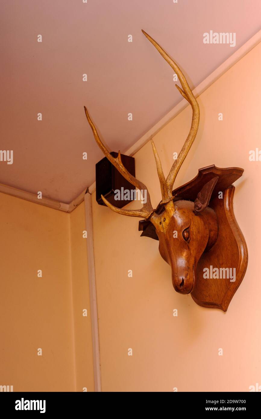 Stuffed dear head hi-res stock photography and images - Alamy