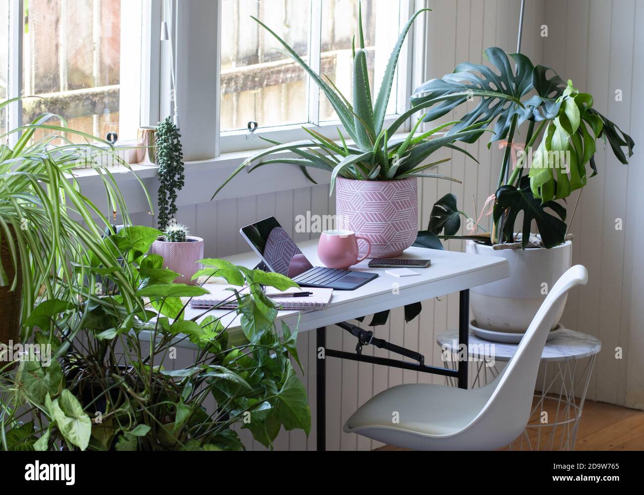 Home office desk with laptop computer and lots of potted plants Stock ...