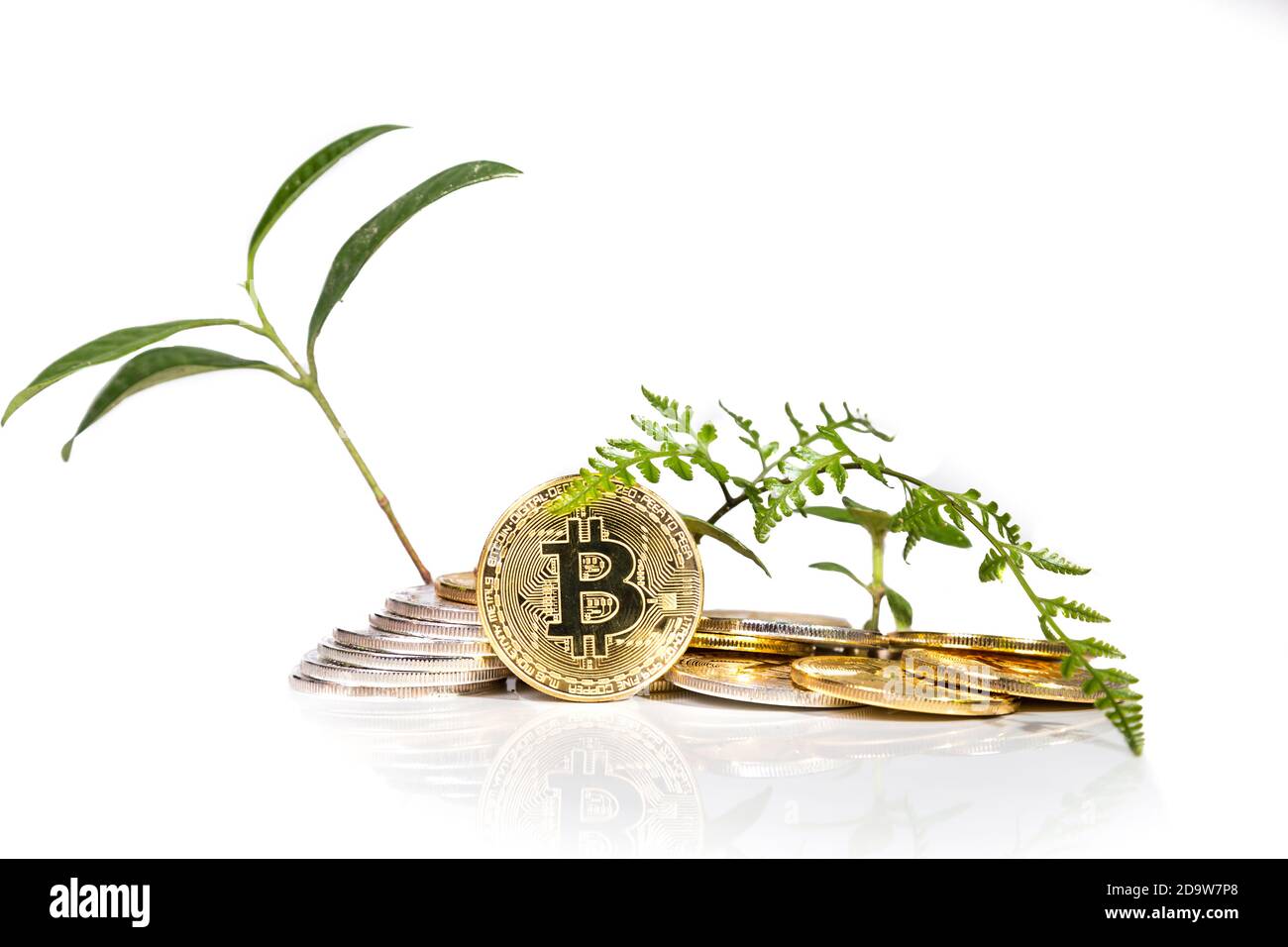 Conceptual cryptocurrency bitcoin with plant growing from within ...