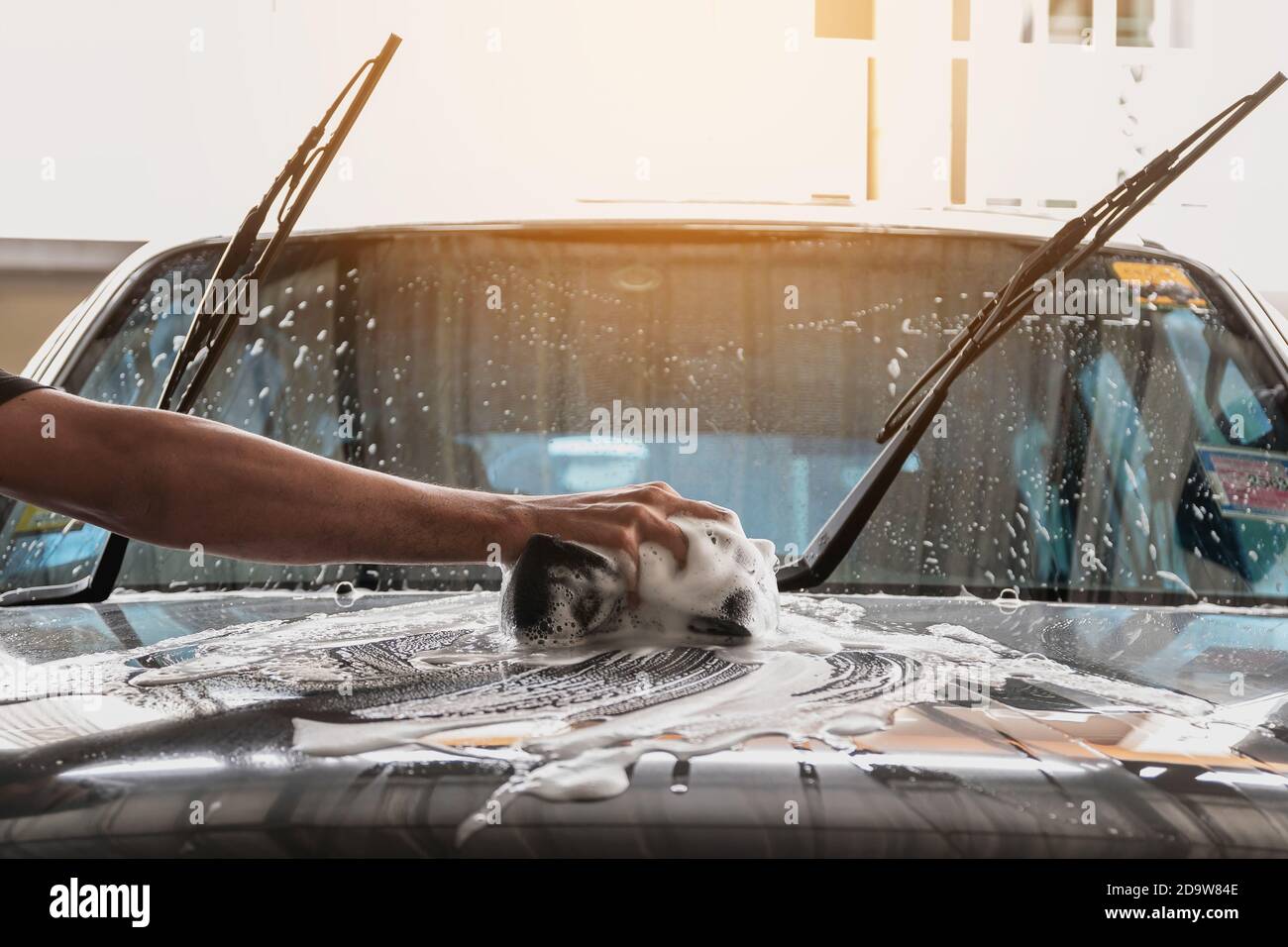 Car wash staff are using a sponge dampened with soap and water to clean ...