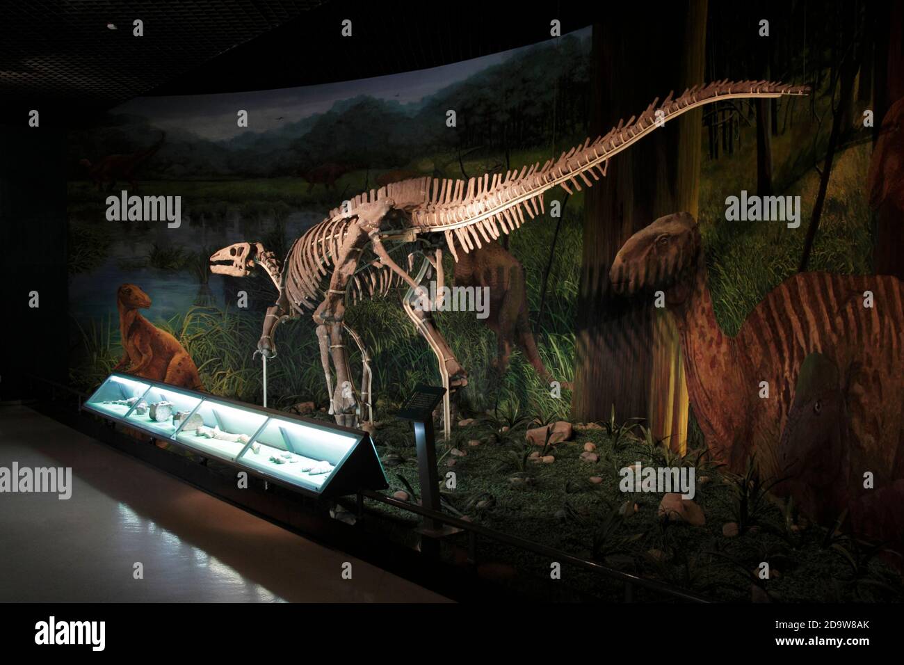 Dinosaur display, Provincial Museum, Lanzhou, Gansu Province, China ...