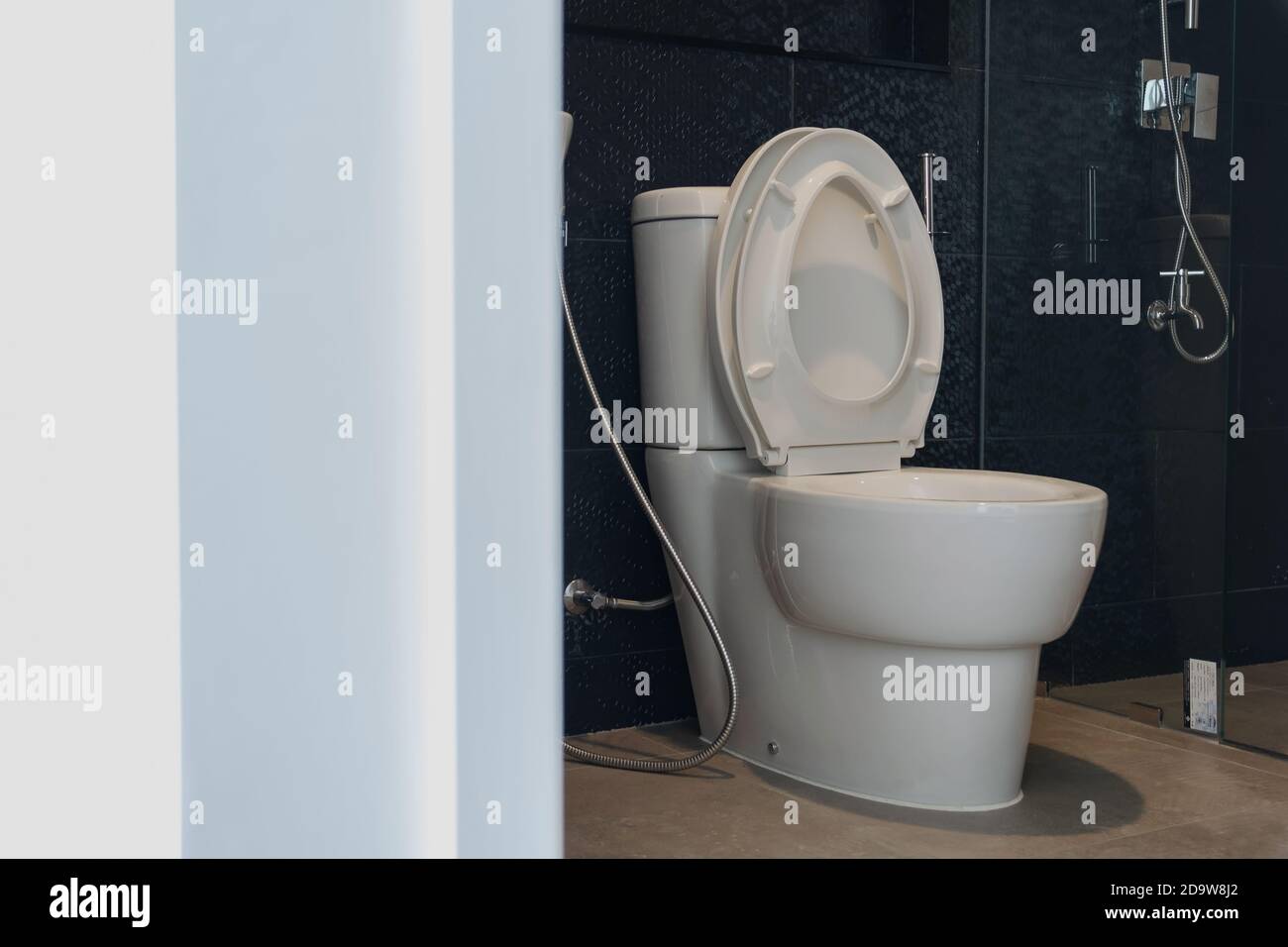 Flush valve hi-res stock photography and images - Alamy