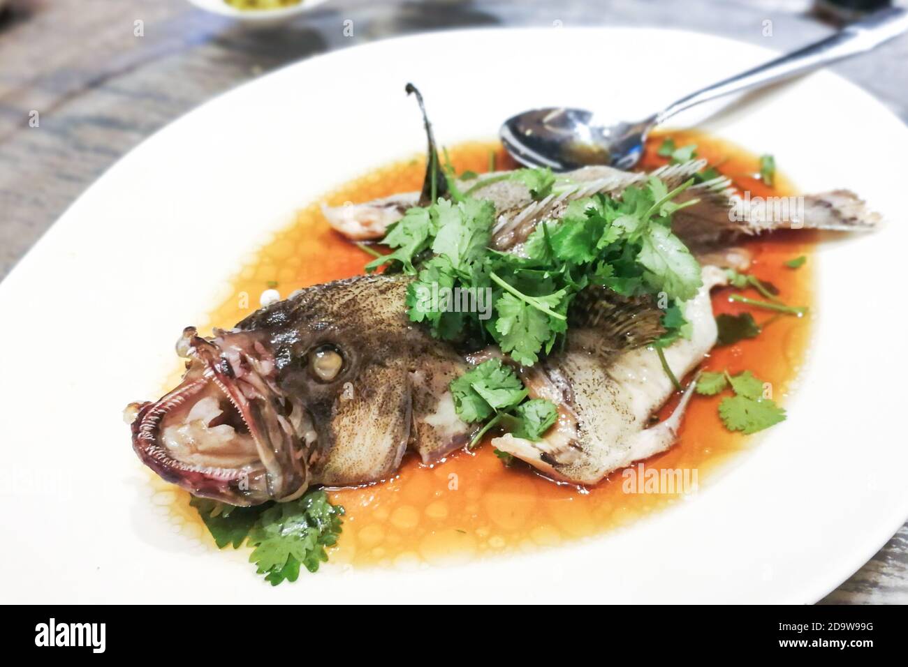 Serving of steamed grouper fish Chinese style during festive ...