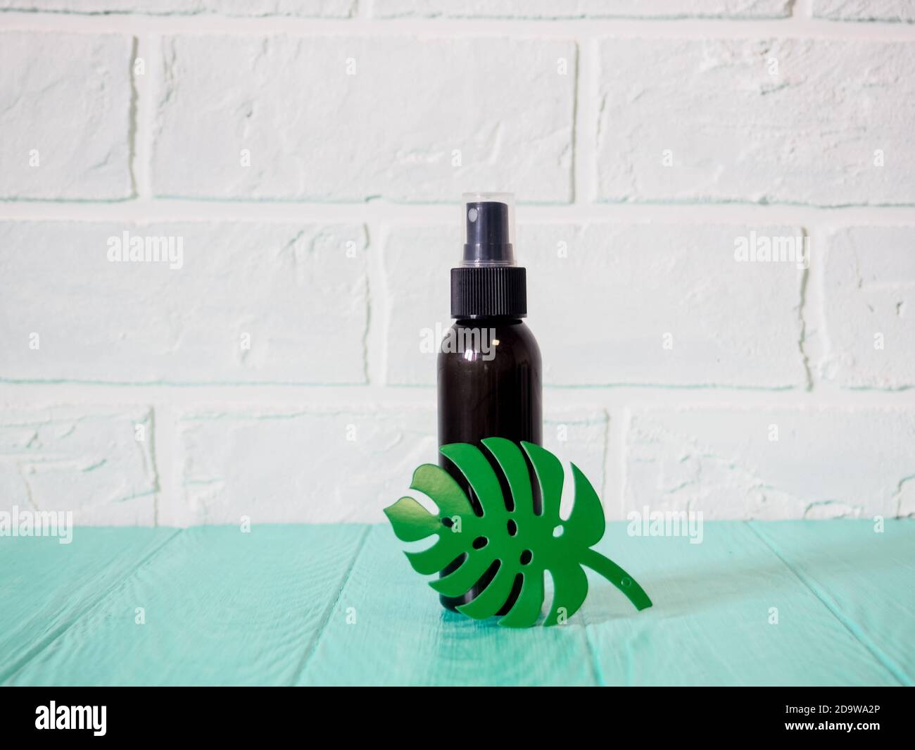 black bottle leaf monstera. Clean dropper bottle mockup and monstera ...