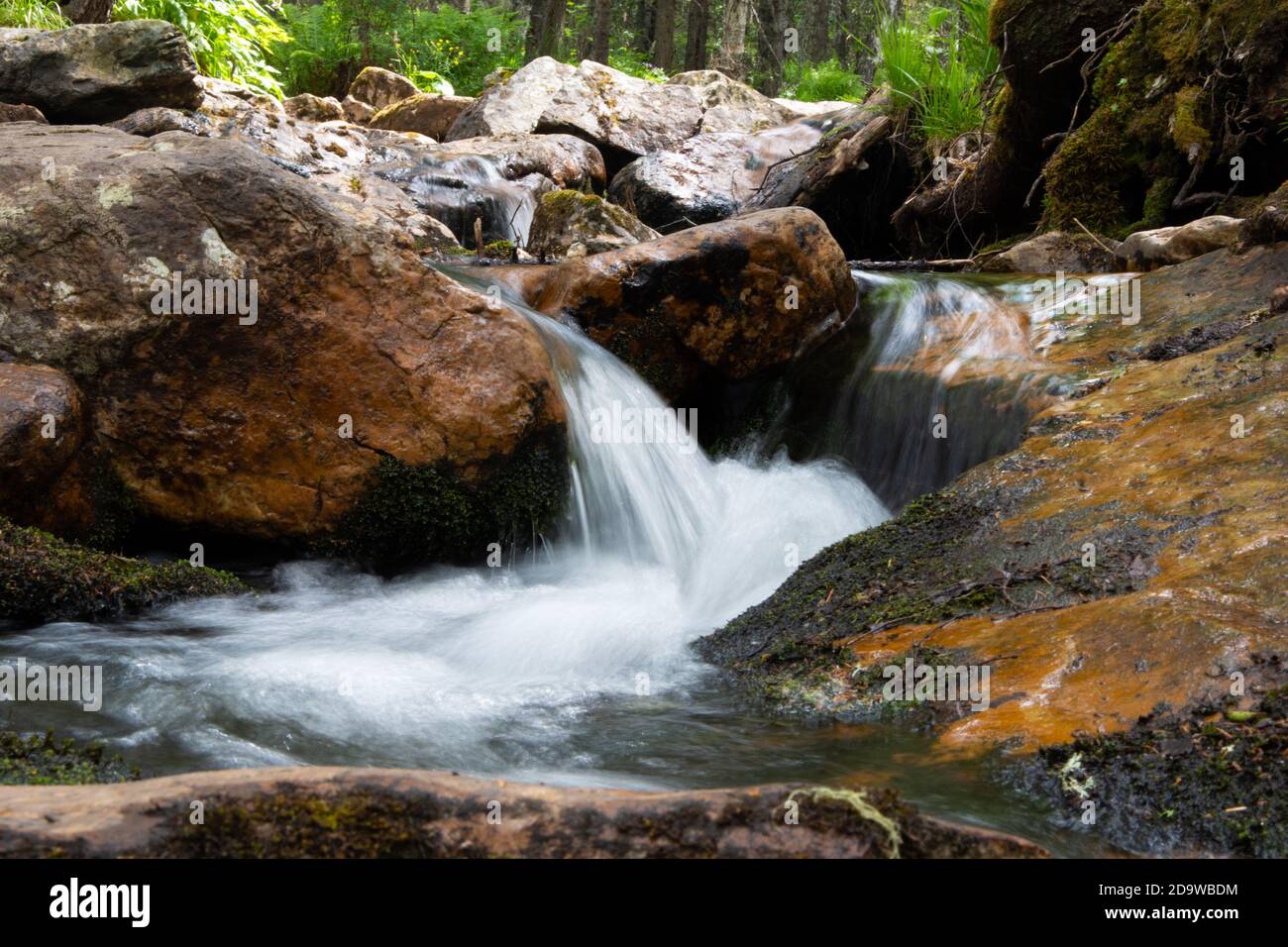 Natural stream flowing over stones in the forest. Summer landscape. Can ...