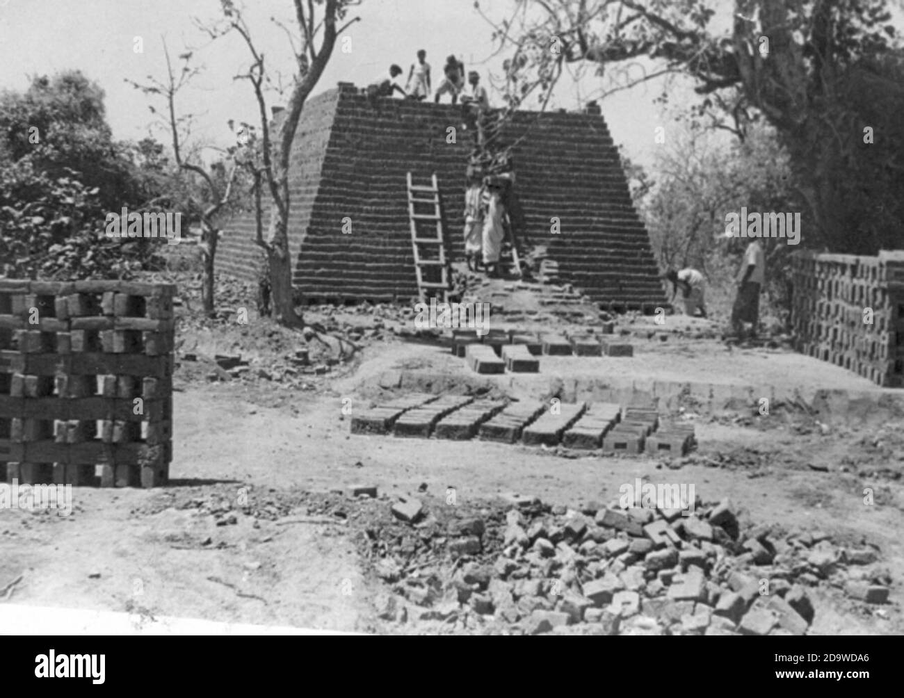 It bhata hi-res stock photography and images - Alamy