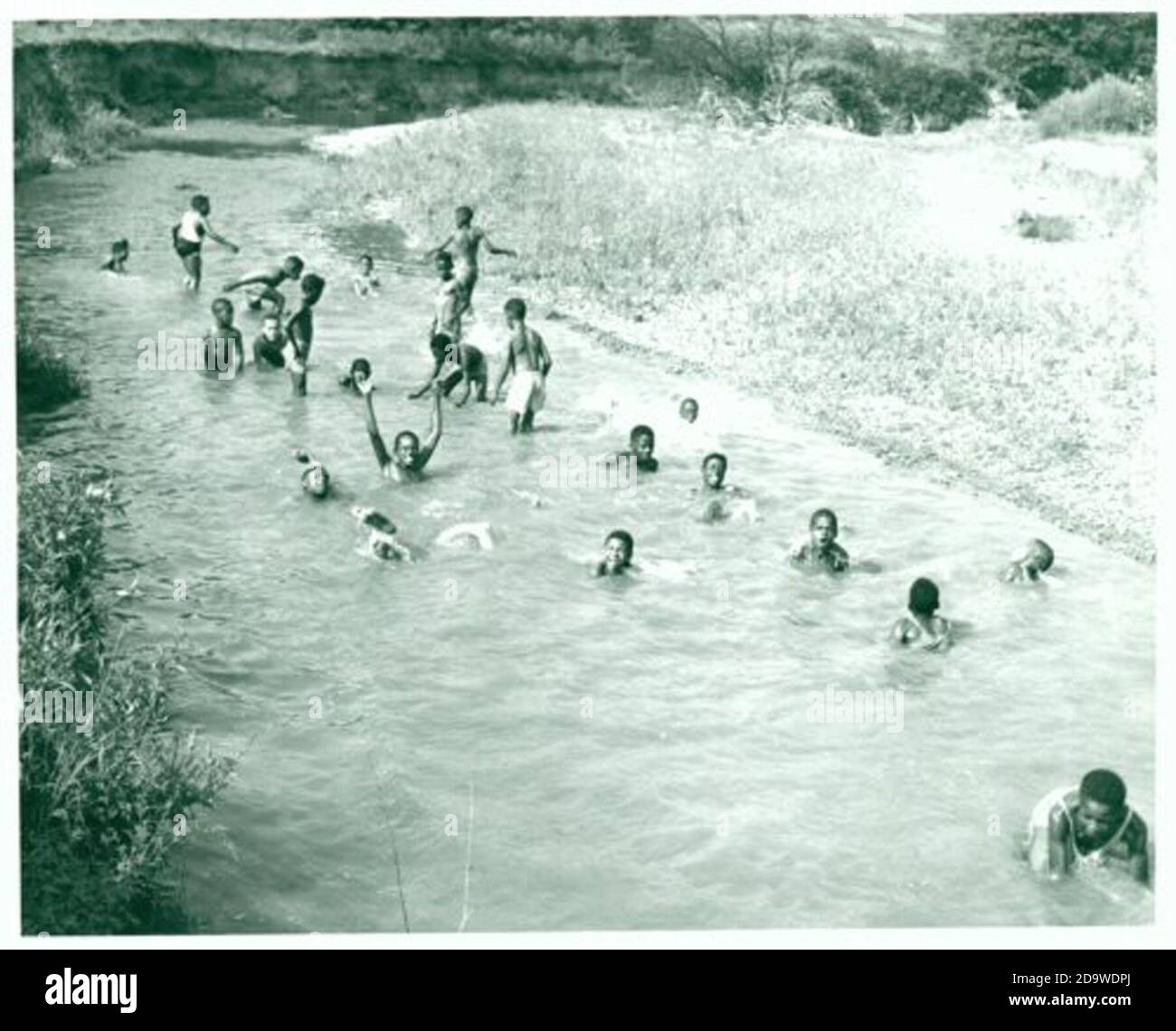 1940s Swimming Cut Out Stock Images & Pictures - Alamy