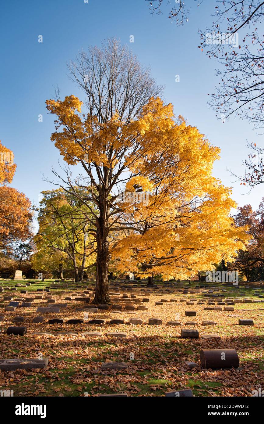 Fall color in ohio Stock Photo - Alamy
