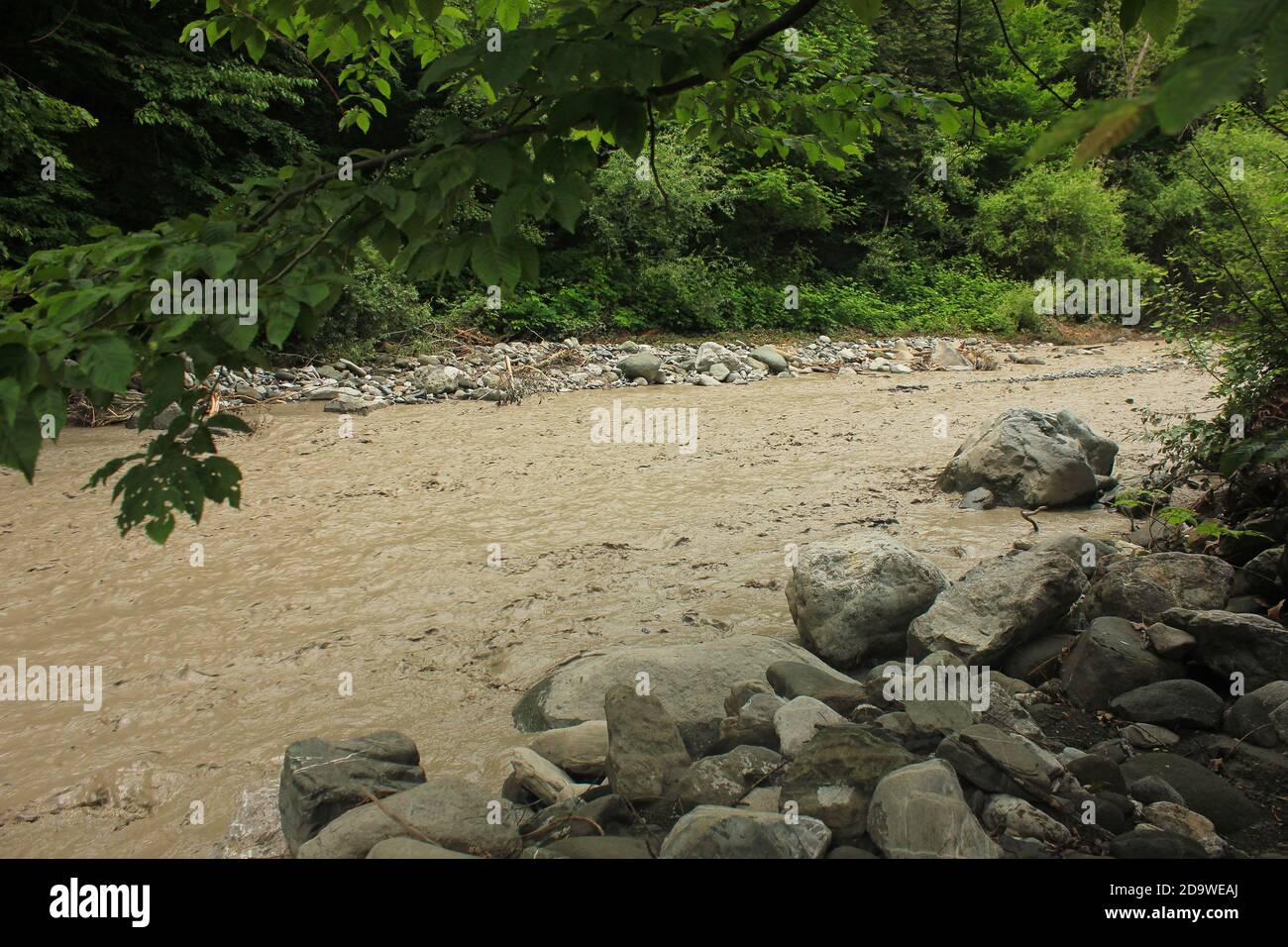 Mud stream in the mountains. After the rain Stock Photo - Alamy