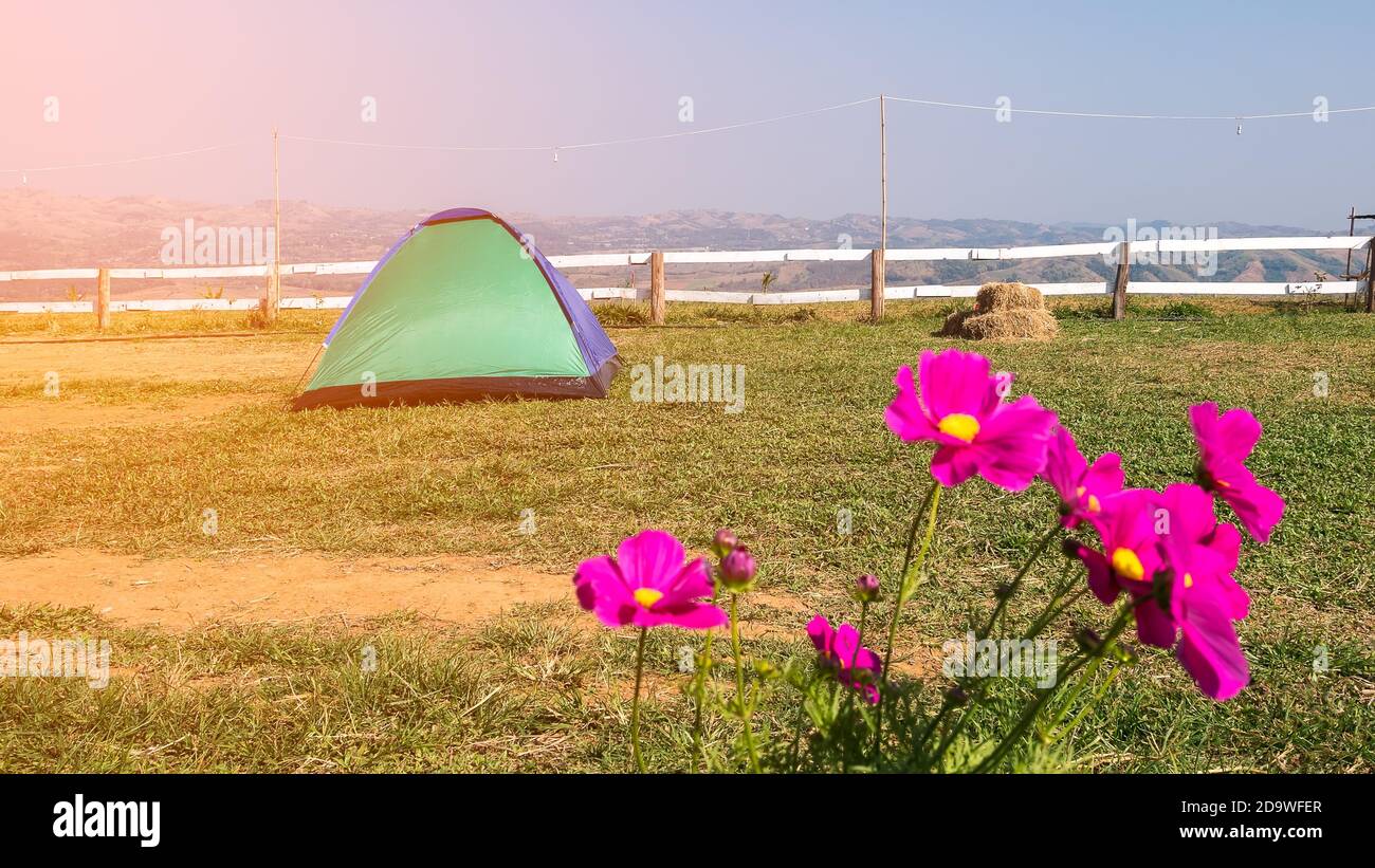 Tourist tent camp on the lawn on the highest point of the mountain ...