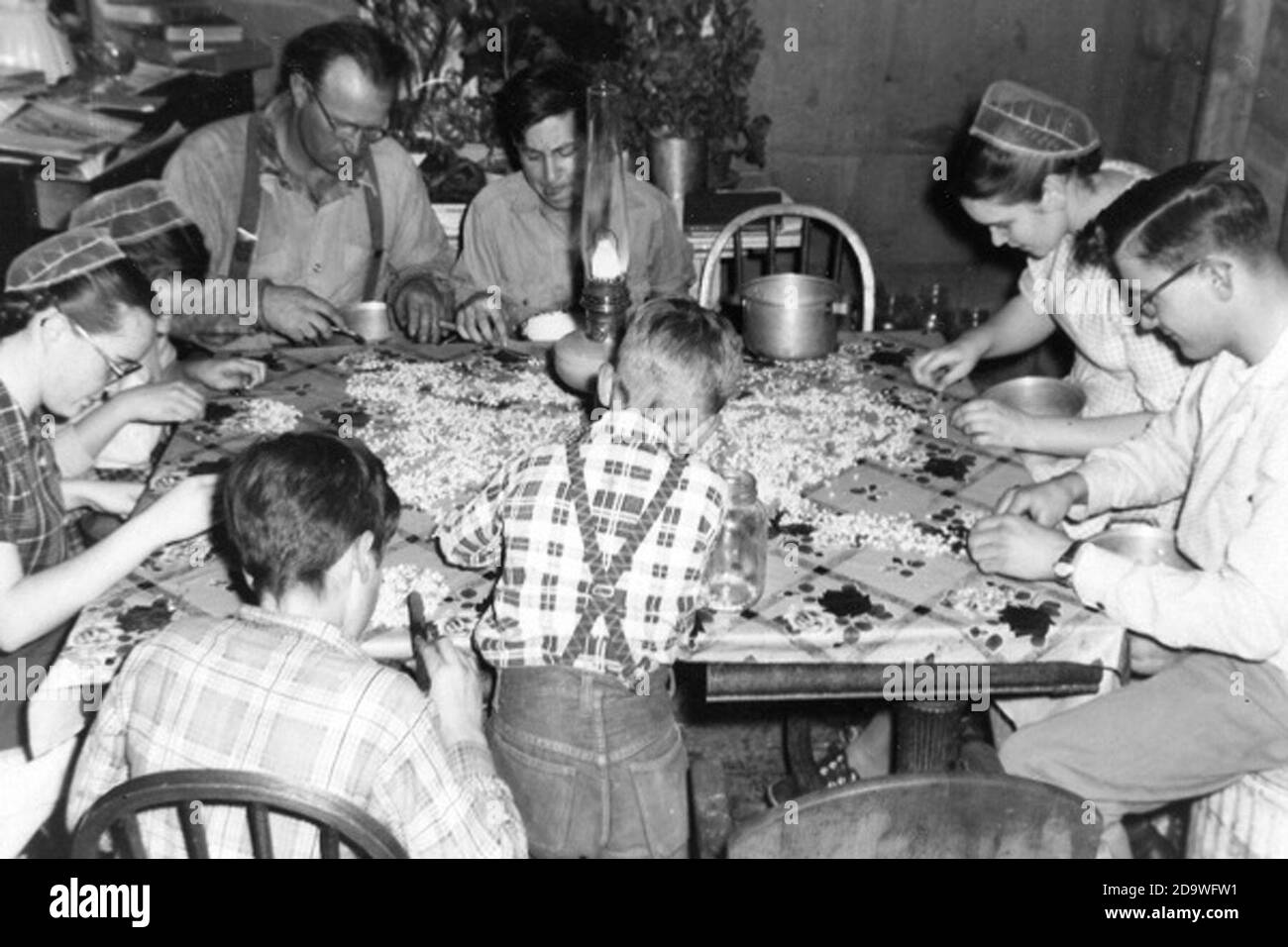 Cleaning beans hi-res stock photography and images - Alamy