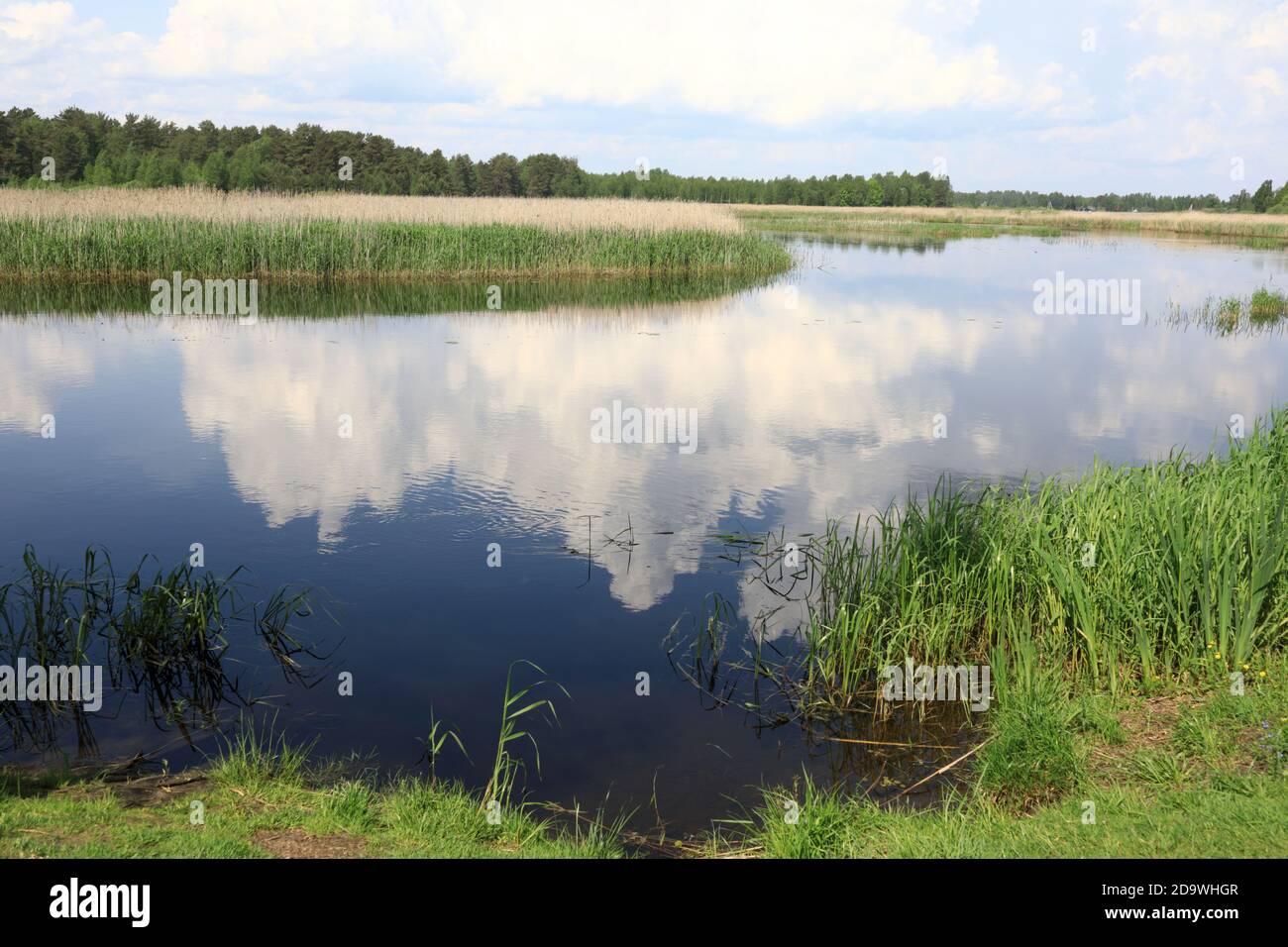 Landscape of Seliger Lake Estuary in summer Stock Photo - Alamy