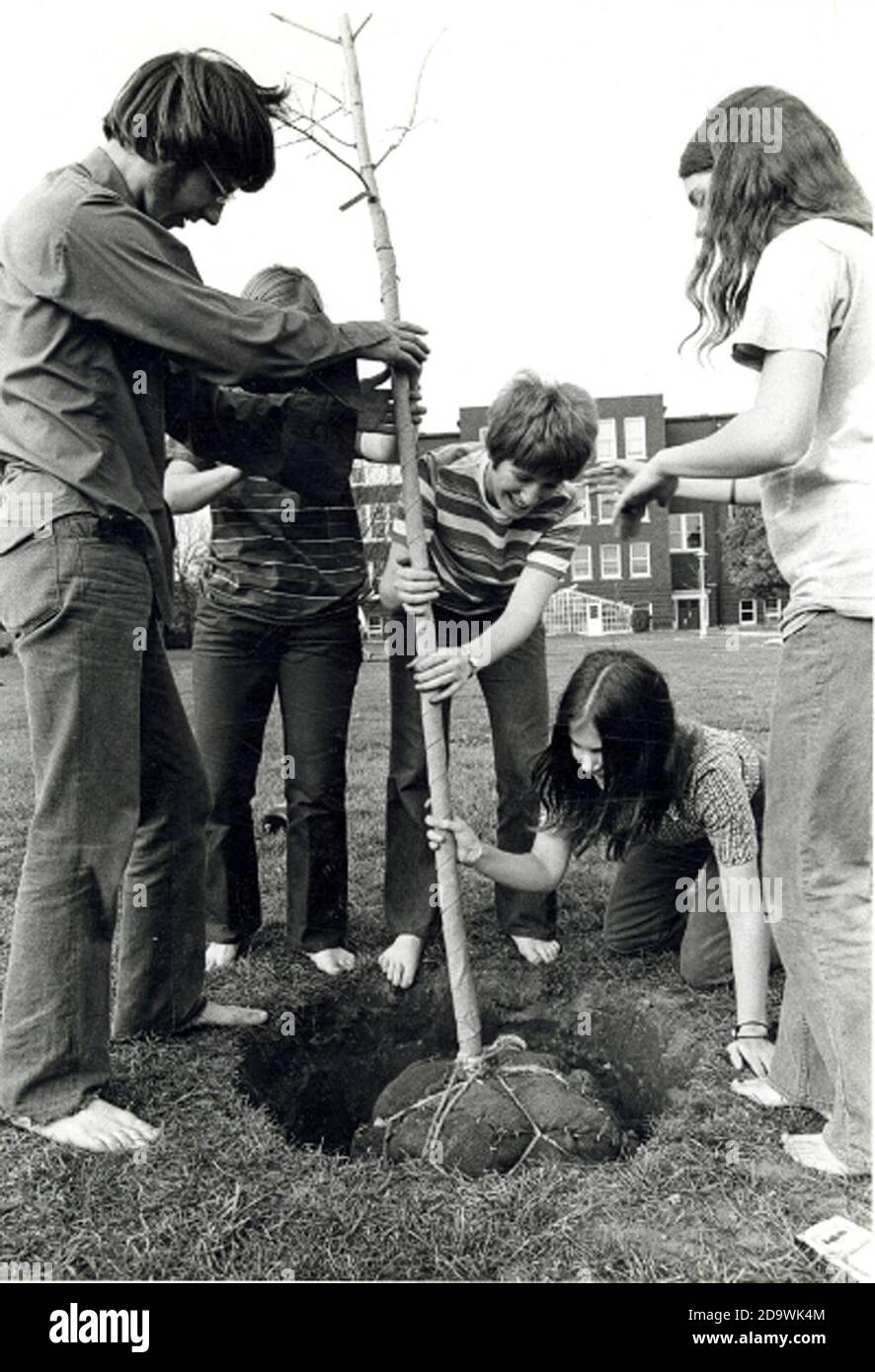 Group Planting A Tree Stock Photo - Alamy