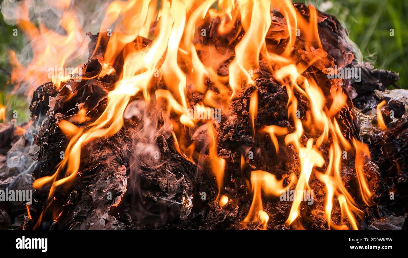 Close up to the burning fire burning garbage pile Stock Photo - Alamy