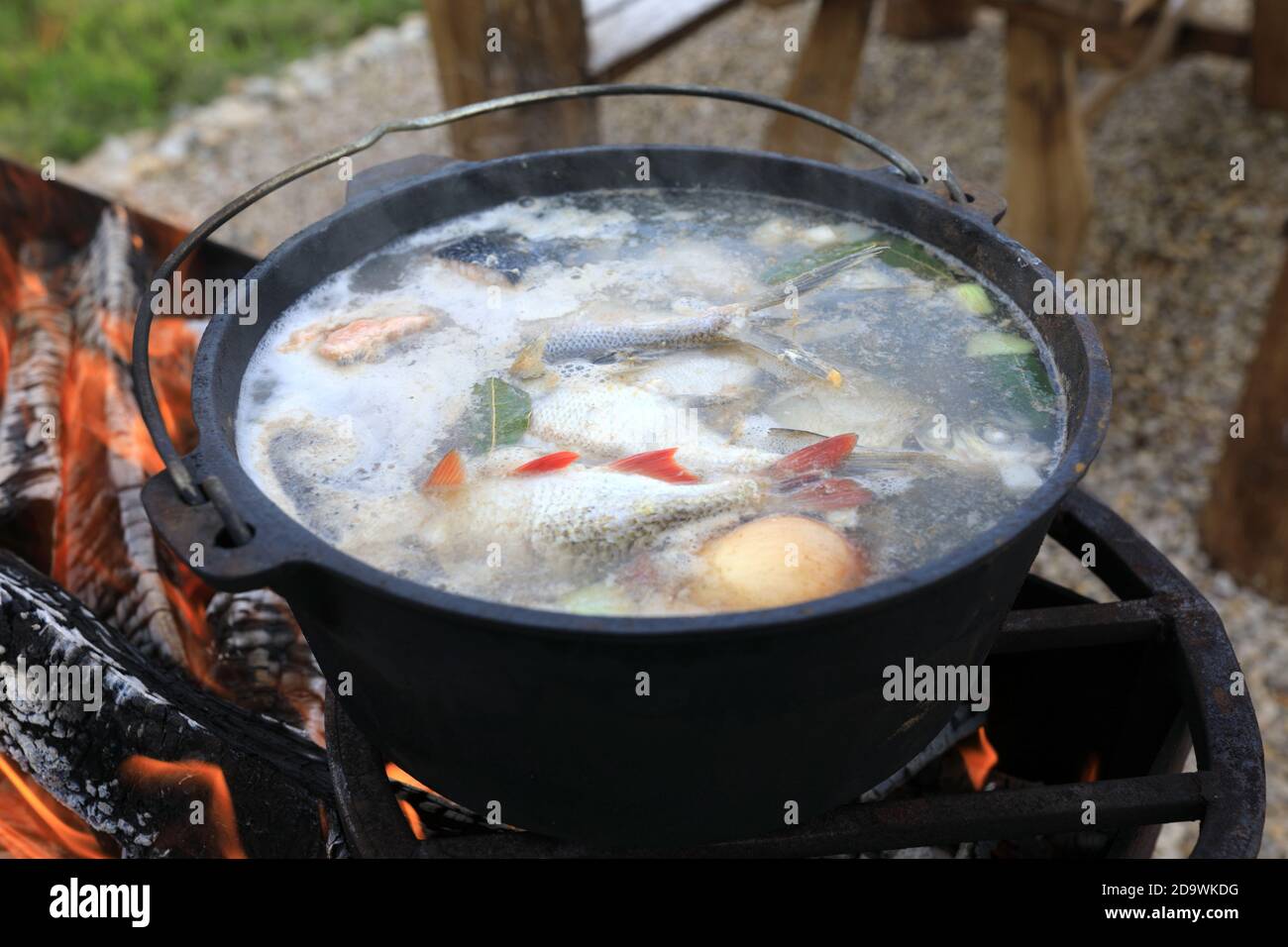 Cooking fish soup in cauldron on fire Stock Photo - Alamy Cooking fish soup in cauldron on fire Stock Photo - Alamy