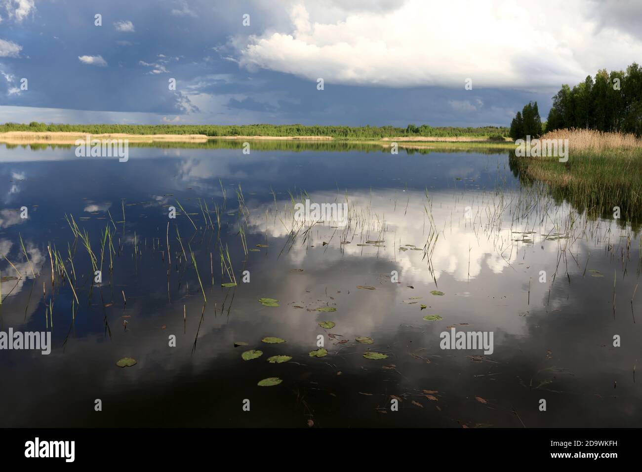 Landscape of Seliger lake in summer, Russia Stock Photo - Alamy