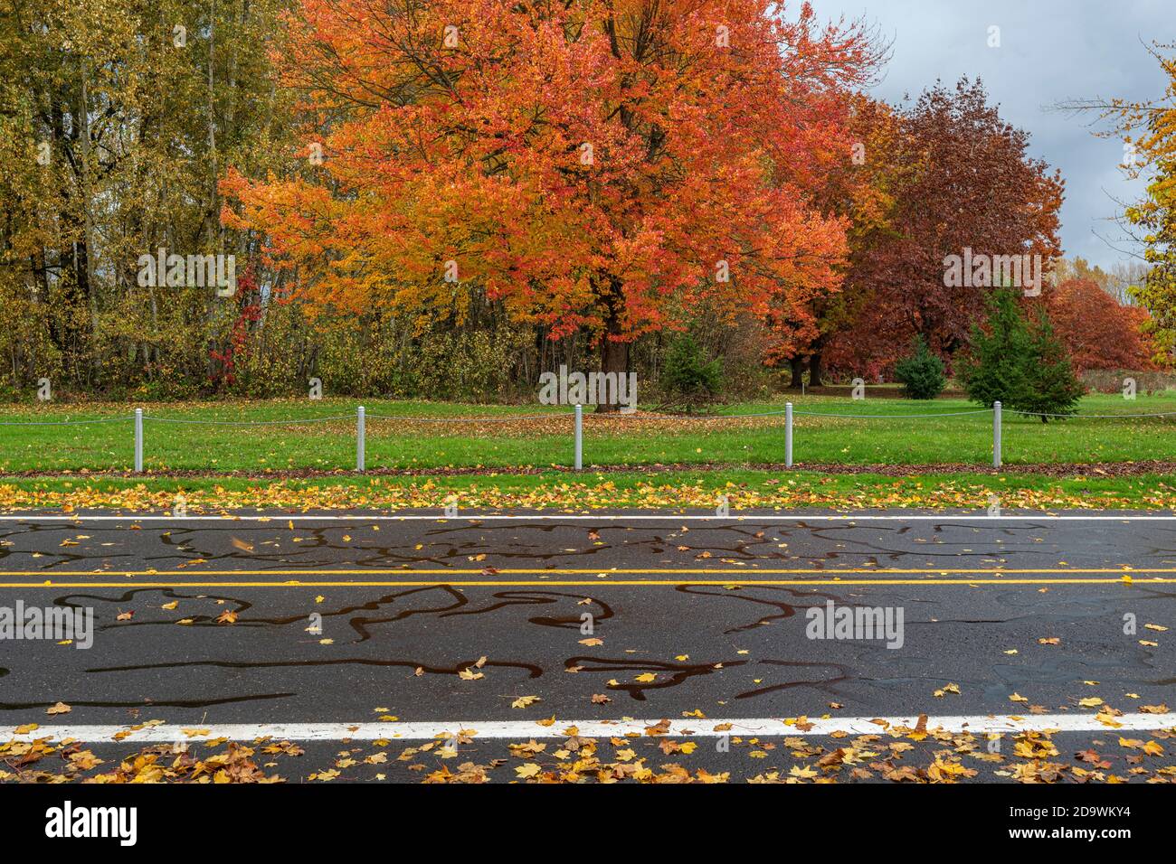 Seasonal changes Autumn colors in nature Oregon state Stock Photo - Alamy