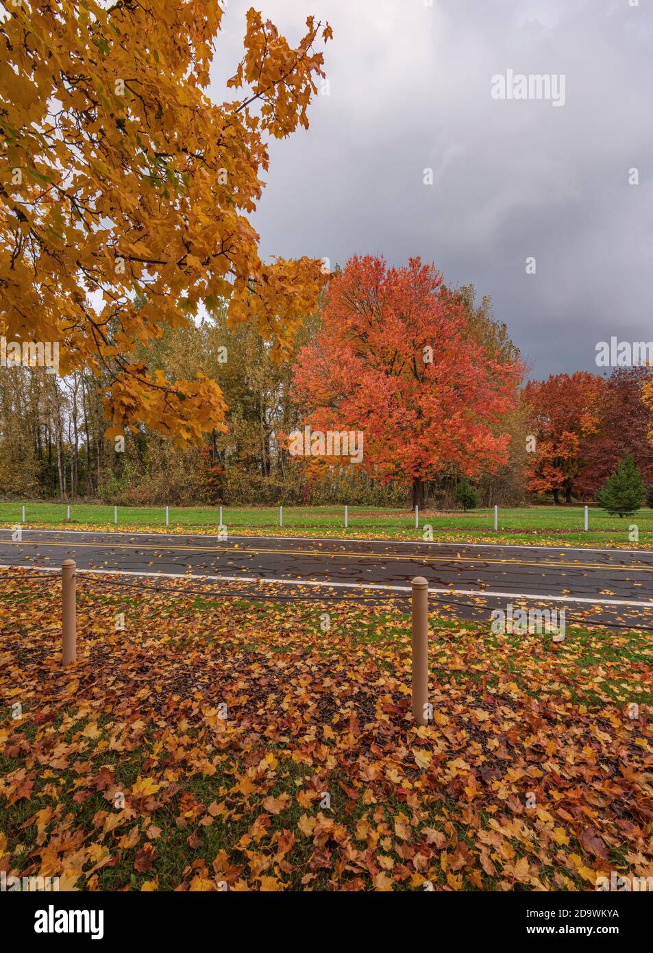 Seasonal changes Autumn colors in nature Oregon state Stock Photo - Alamy