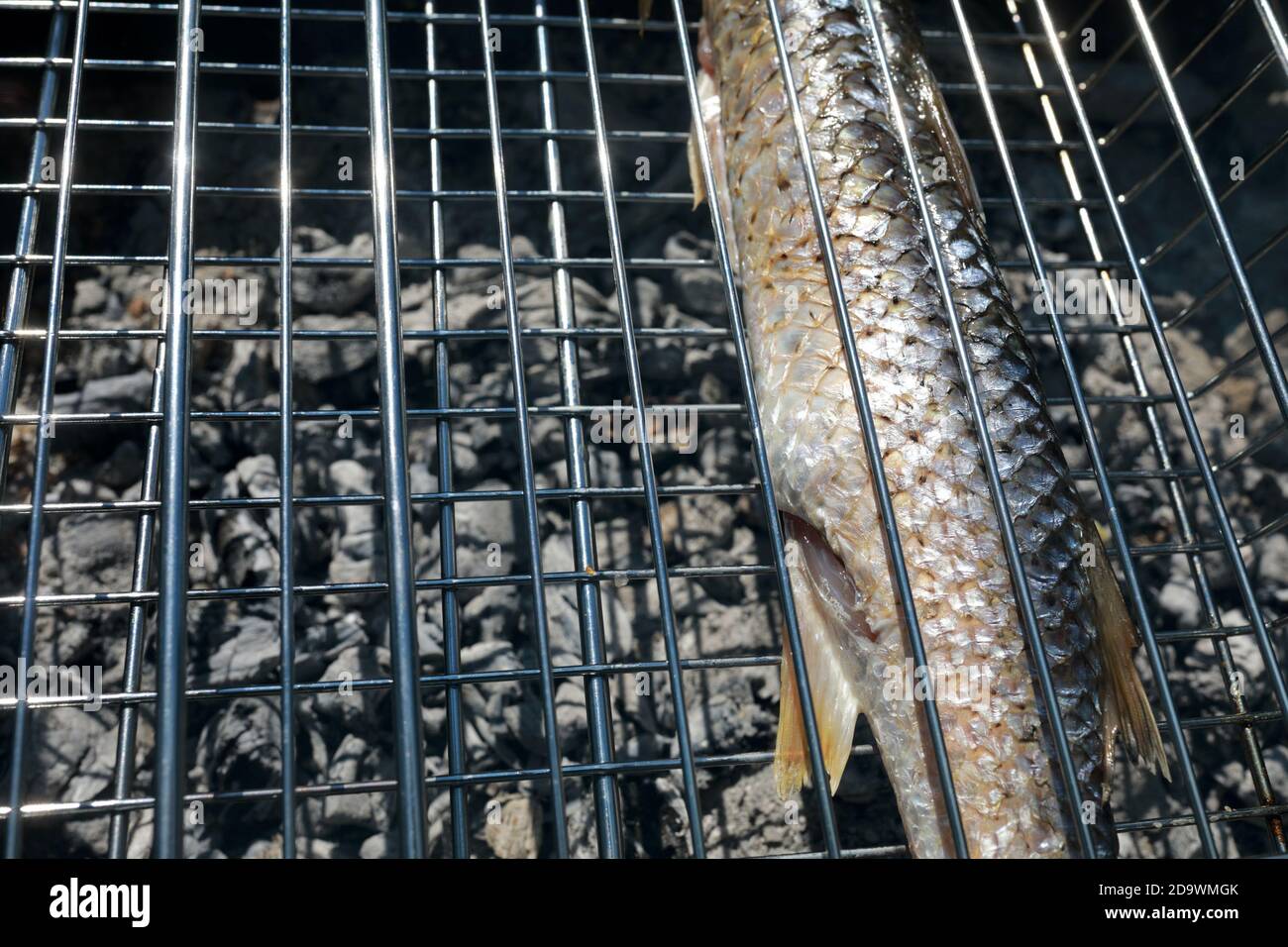 Cooking mullet fish on grill on picnic Stock Photo - Alamy
