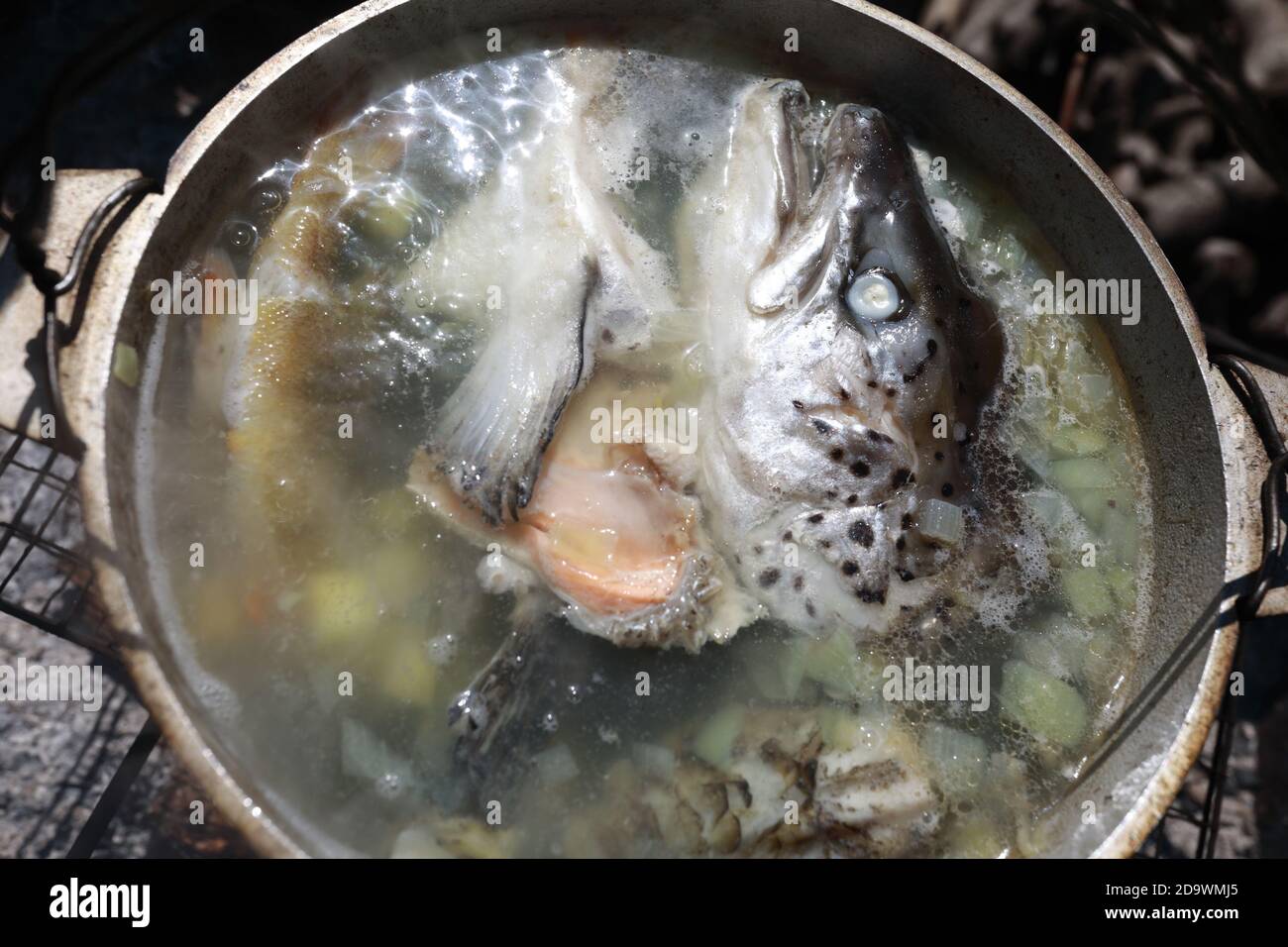Cooking salmon fish soup in cauldron on fire Stock Photo - Alamy
