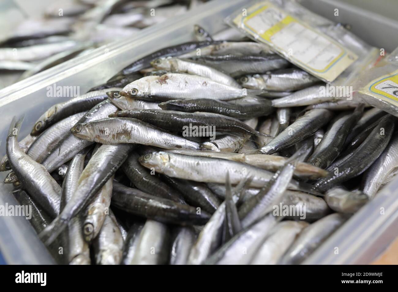 Pile of salted hamsa fish in market, Russia Stock Photo - Alamy