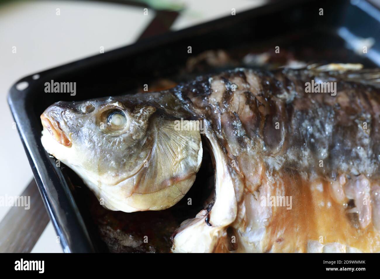 View of oven baked carp on baking sheet Stock Photo - Alamy