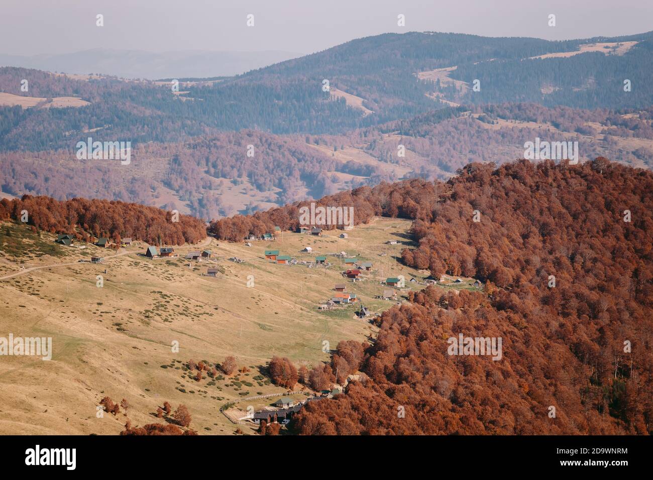 Golden autumn forest scenery hi-res stock photography and images - Alamy