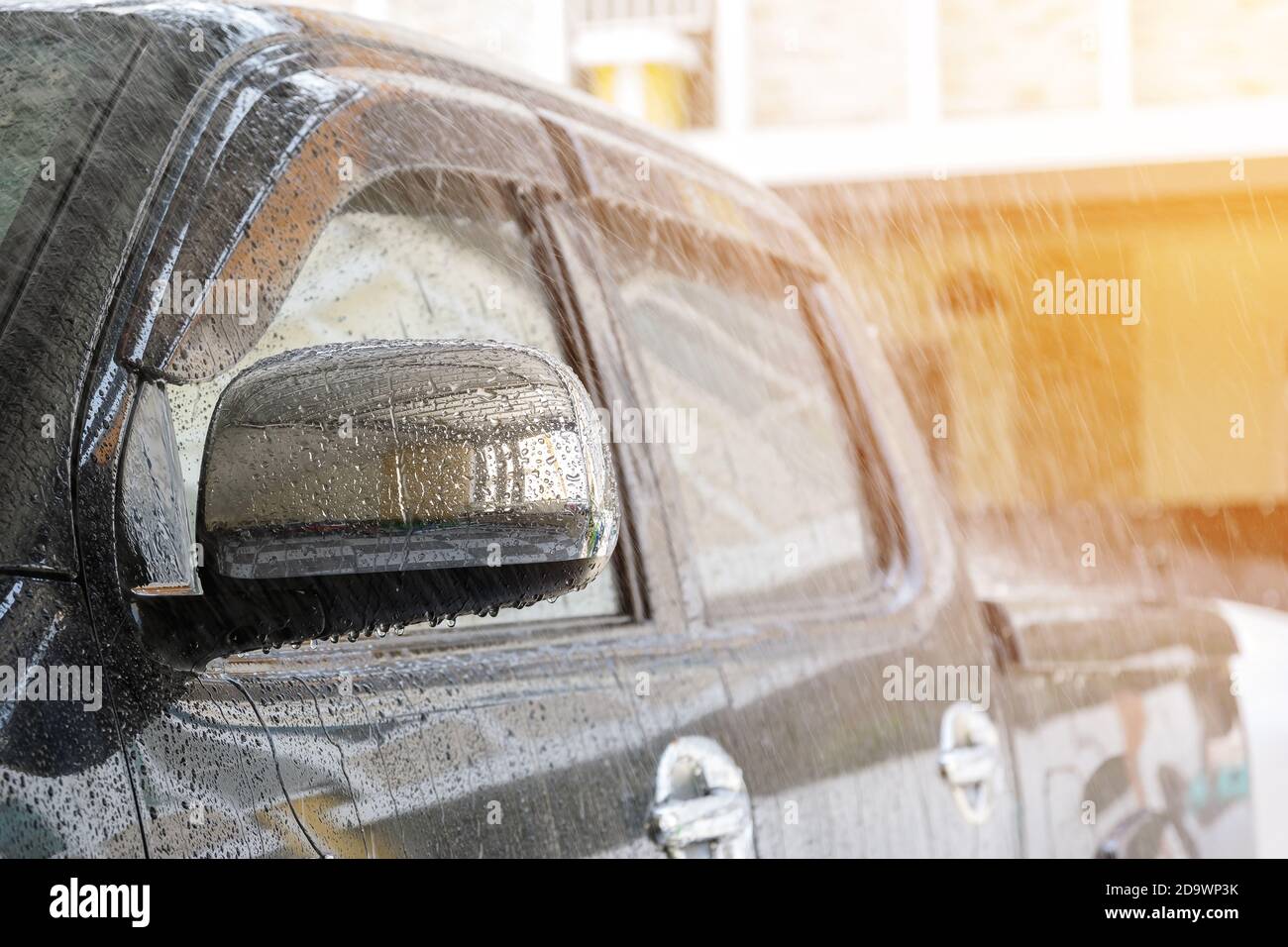 Sprinkle water on the car with a spray before cleaning the car with a ...