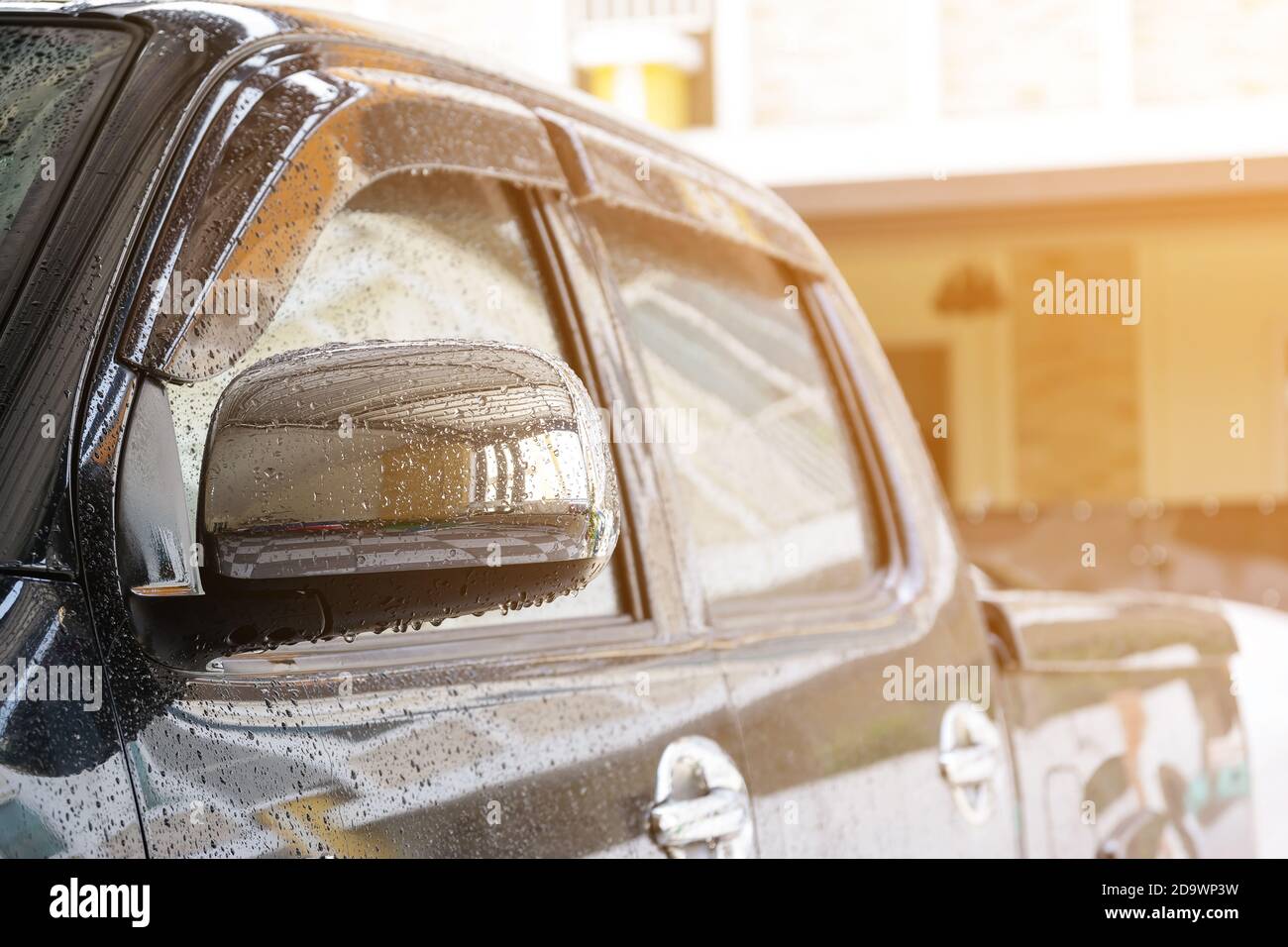 Sprinkle water on the car with a spray before cleaning the car with a ...