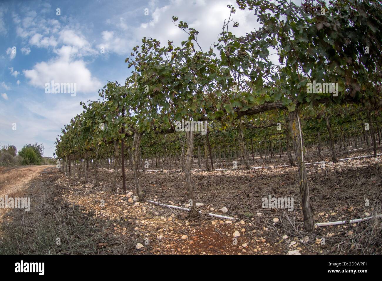 Jerusalem countryside hi-res stock photography and images - Alamy